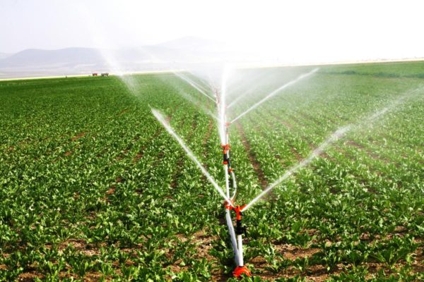 Row Crop Irrigation Solutions - Southern Irrigation