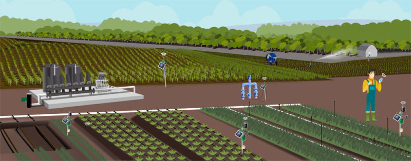 Subsurface Drip Irrigation - Southern Irrigation