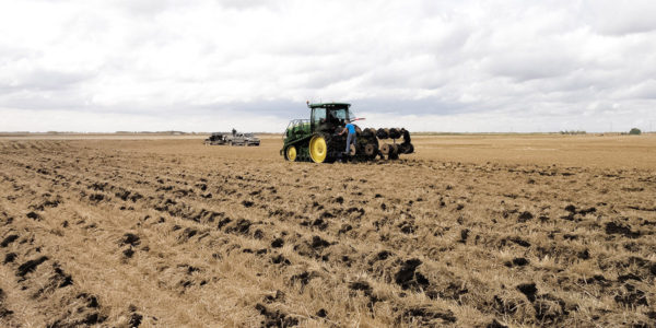 Subsurface Drip Irrigation - Southern Irrigation