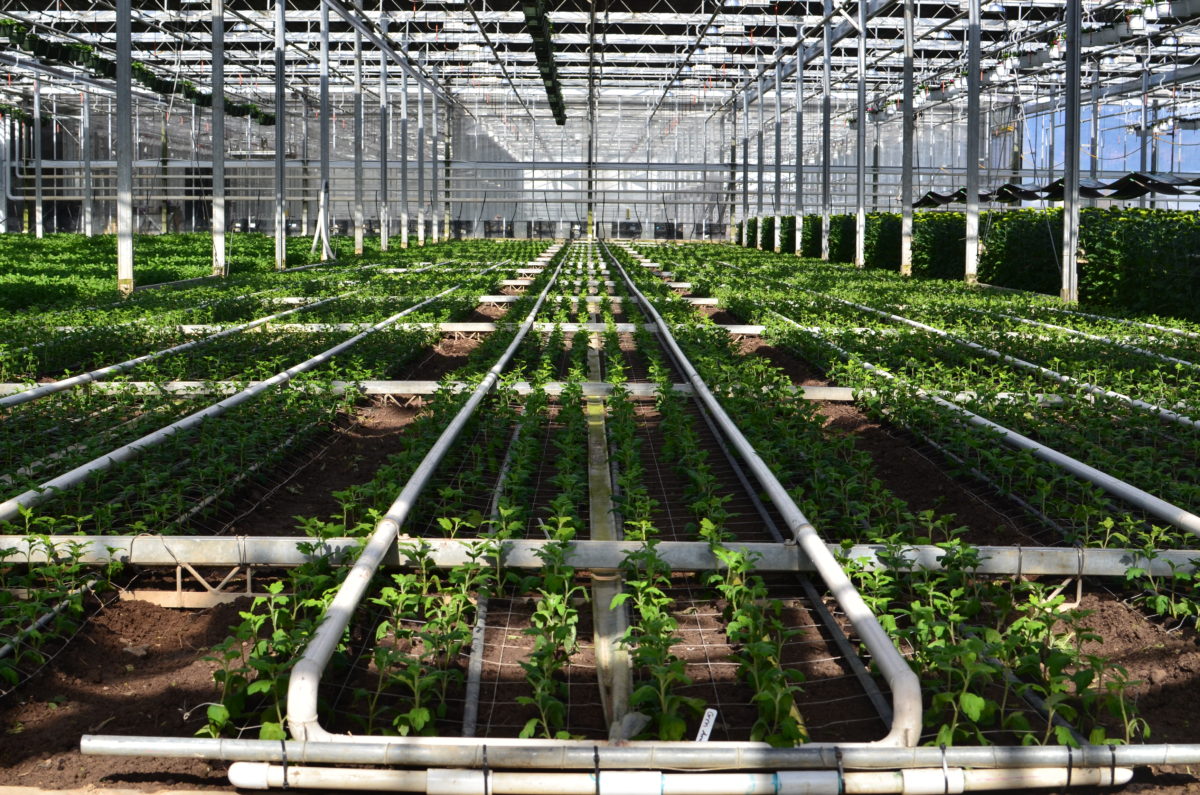 Picture Gallery - Southern Irrigation