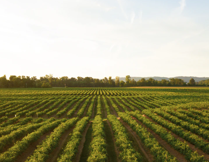 Excellence in Water - Home - Southern Irrigation