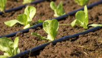 Row Crop Irrigation Solutions - Southern Irrigation