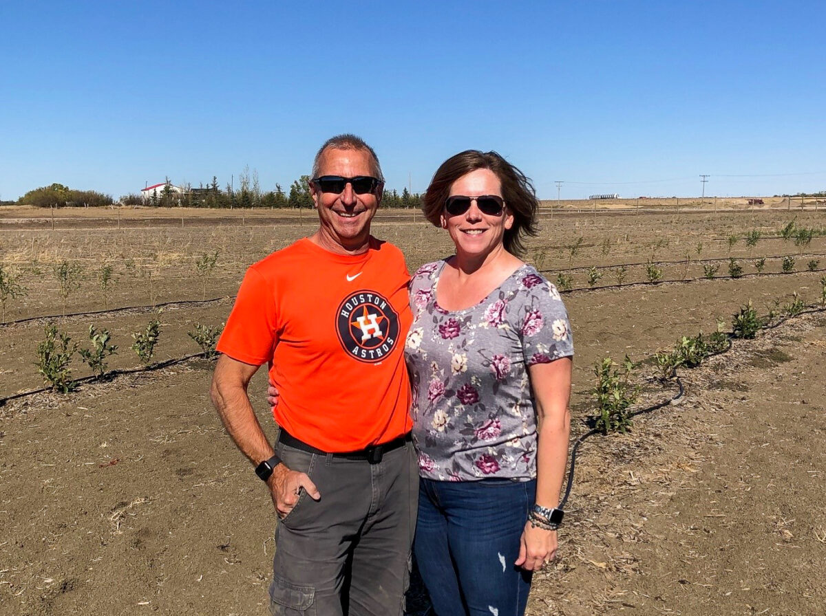 Gate - Shelterbelt Case Study - Harvey Farm Saves Weeks of Labour with ...