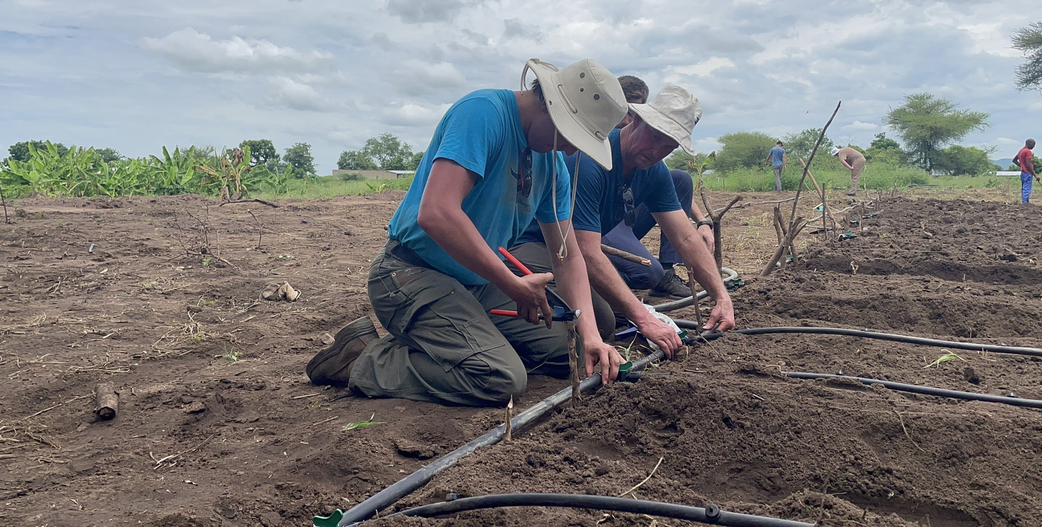 EMPOWERING MALAWI'S AGRICULTURAL GROWTH: A TRANSFORMATIVE IMPACT ...