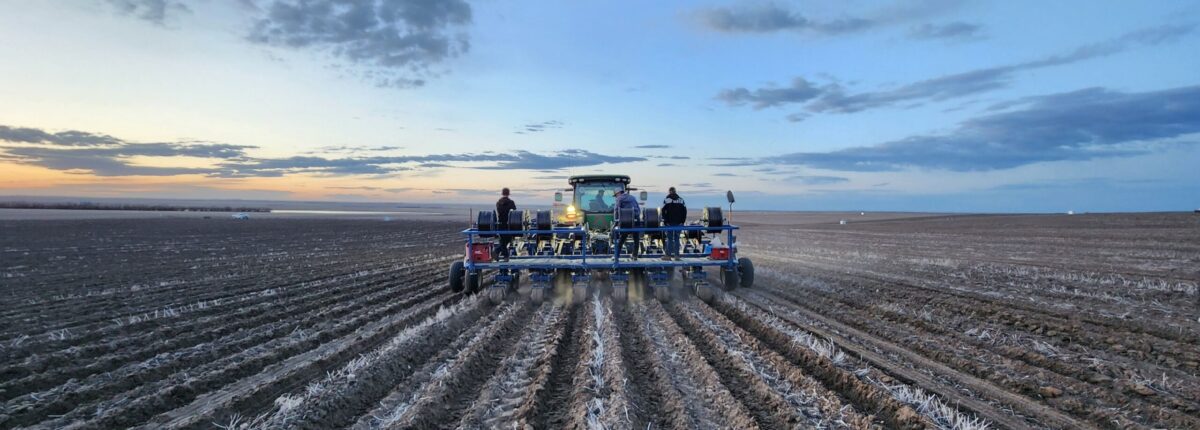 SUBSURFACE DRIP IRRIGATION: THE MOST SUSTAINABLE WATER SOLUTION FOR ...